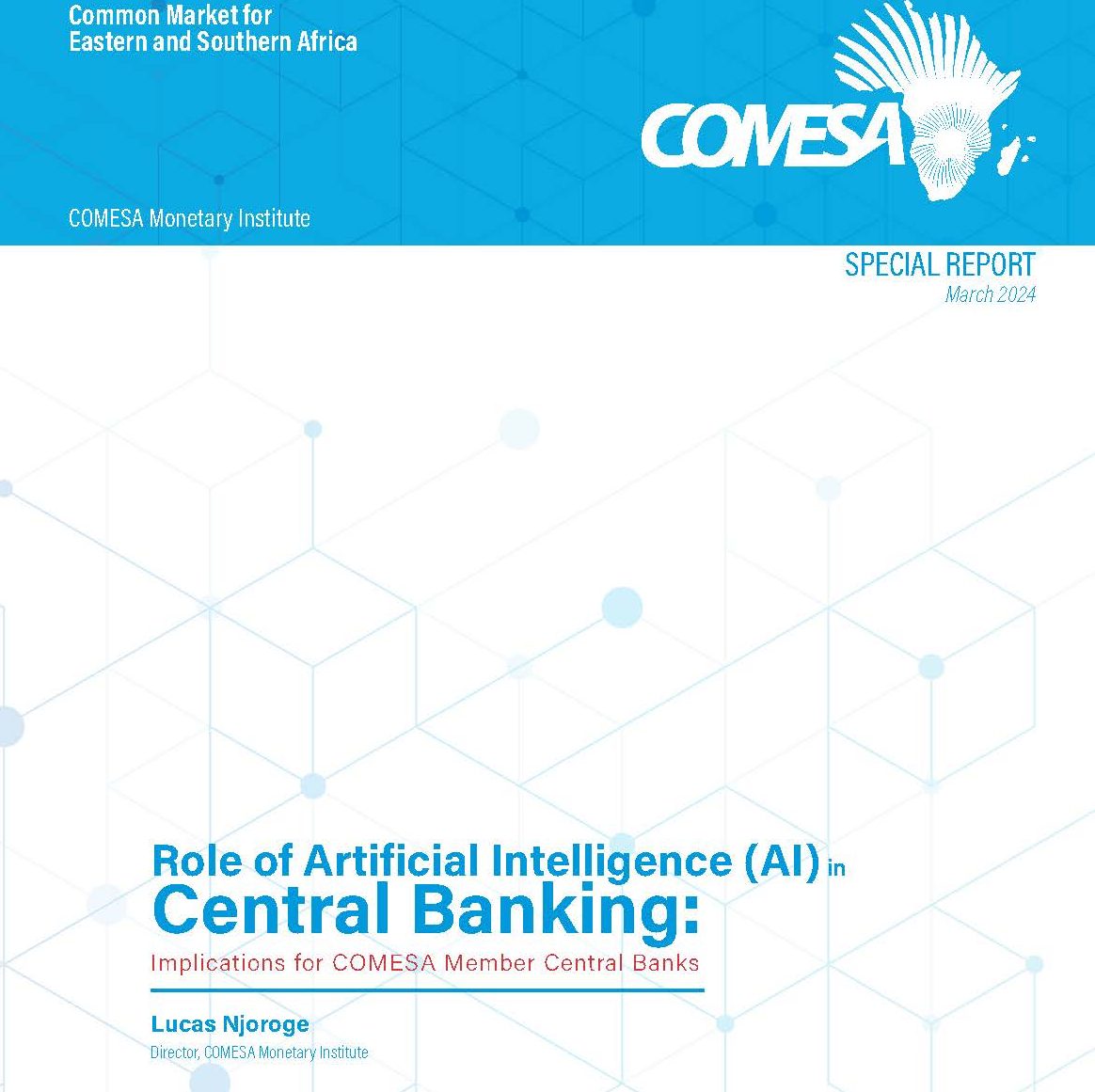 Special Reports - Common Market for Eastern and Southern Africa (COMESA)