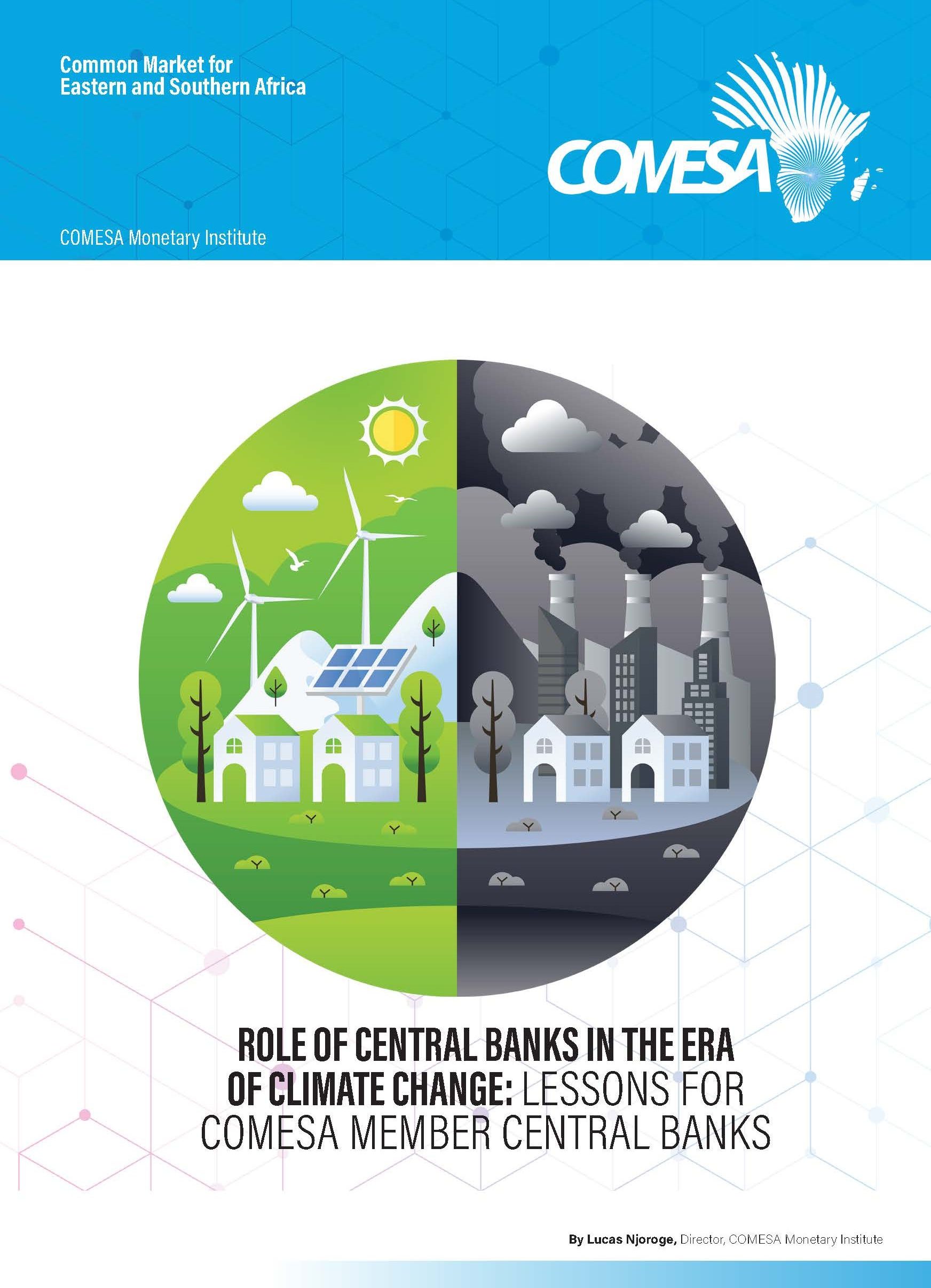 Special Reports - Common Market for Eastern and Southern Africa (COMESA)