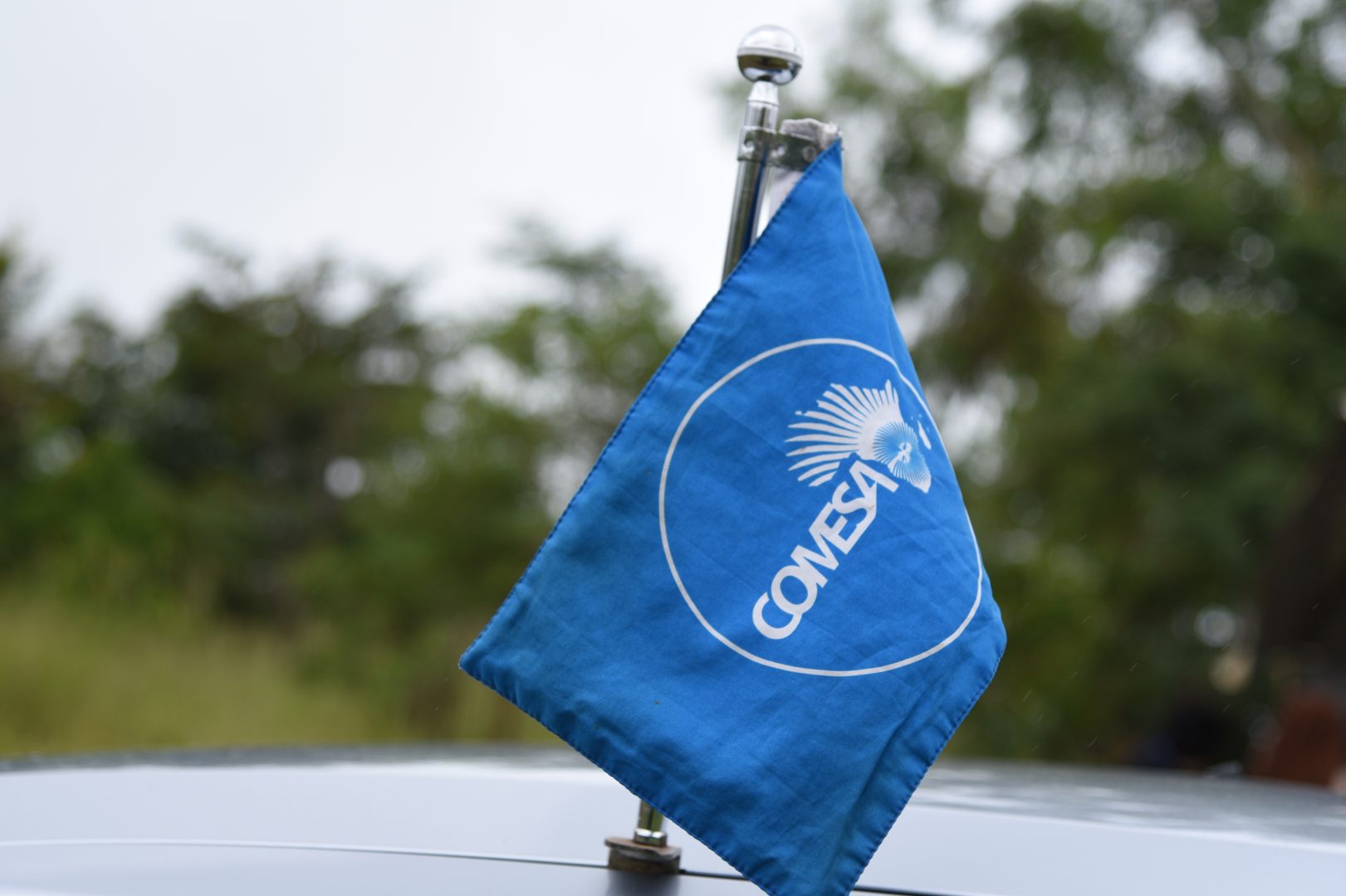 COMESA Kicks-off Business Process Re-engineering – Common Market for ...