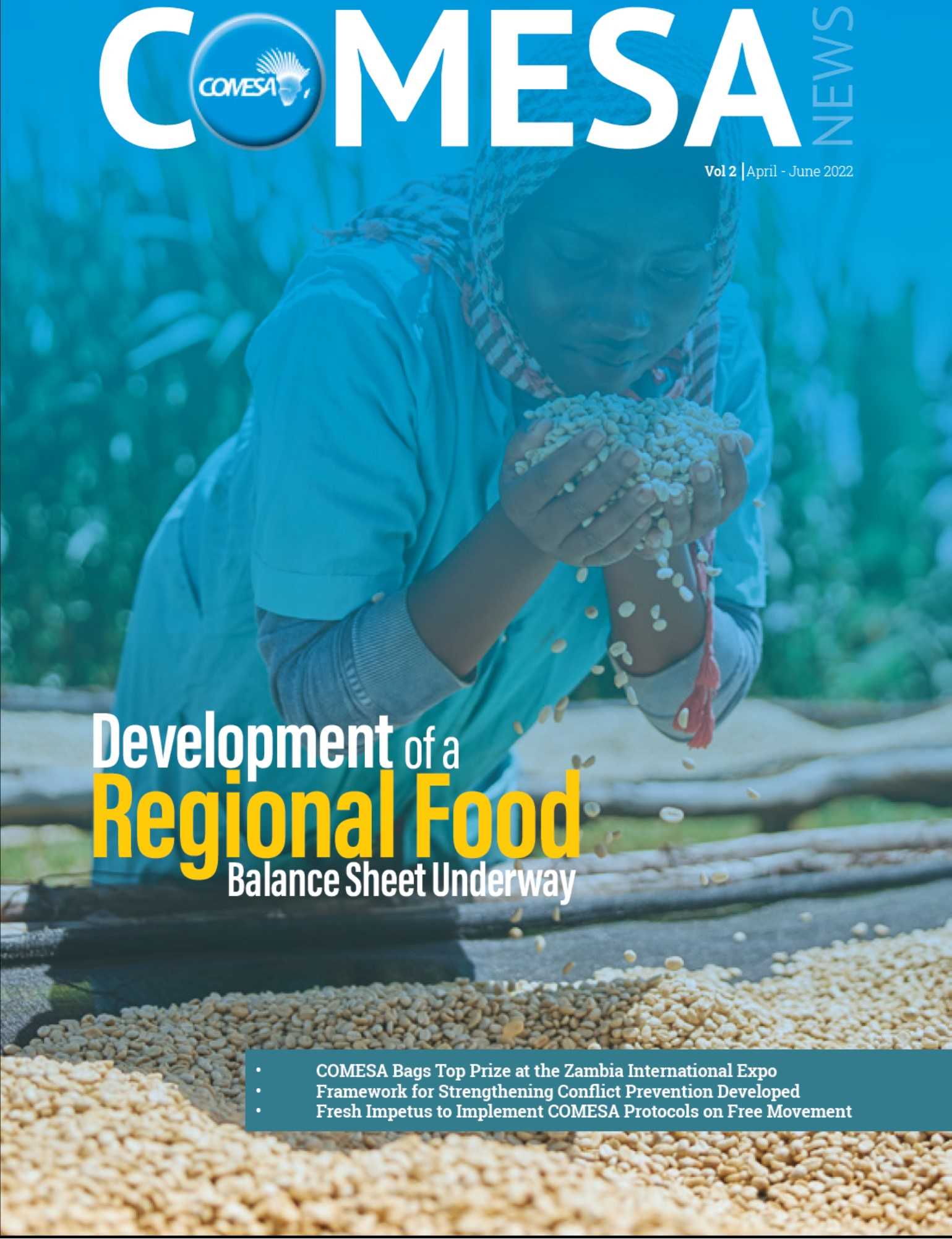 Common Market for Eastern and Southern Africa (COMESA)