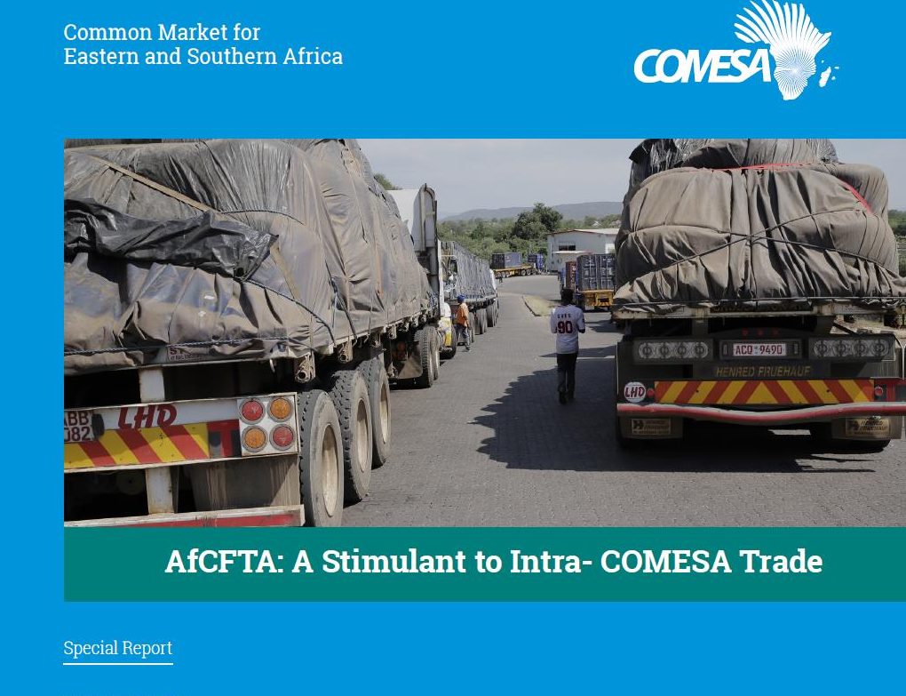 Common Market for Eastern and Southern Africa (COMESA)