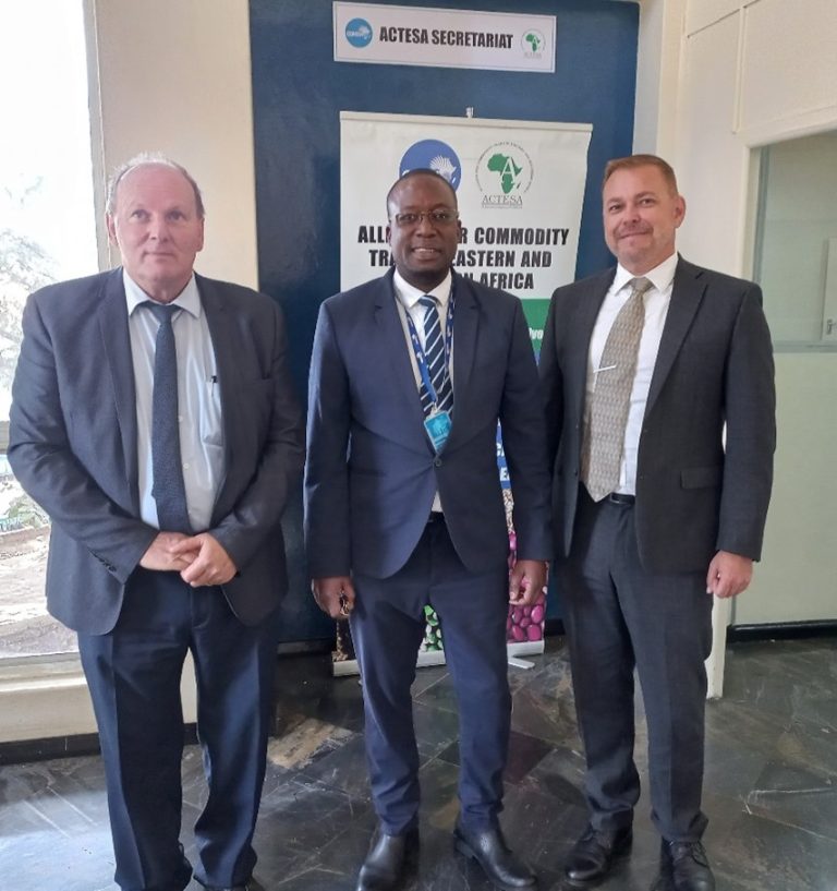 Common Market for Eastern and Southern Africa (COMESA)