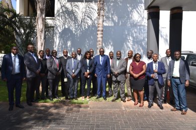 Stakeholders Consult on Implementing the Regional Customs Guarantee ...