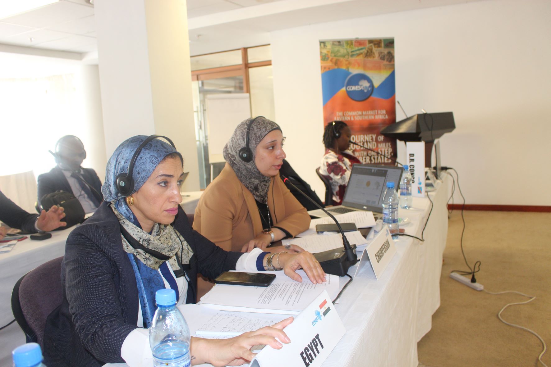 Common Market for Eastern and Southern Africa (COMESA)