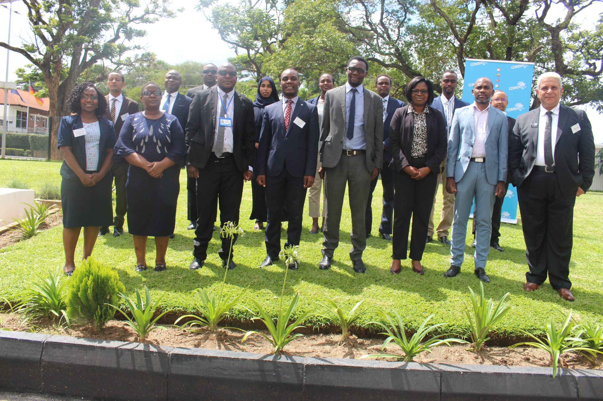 Building Regional Capacity on FDI Statistics - Common Market for ...