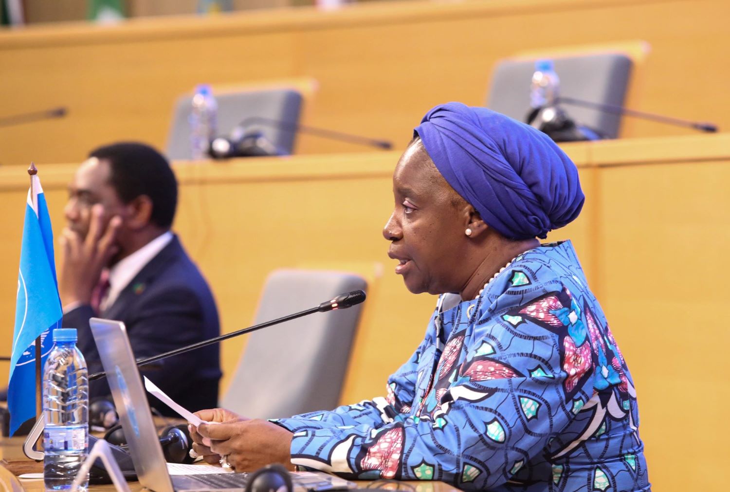 Common Market for Eastern and Southern Africa (COMESA)