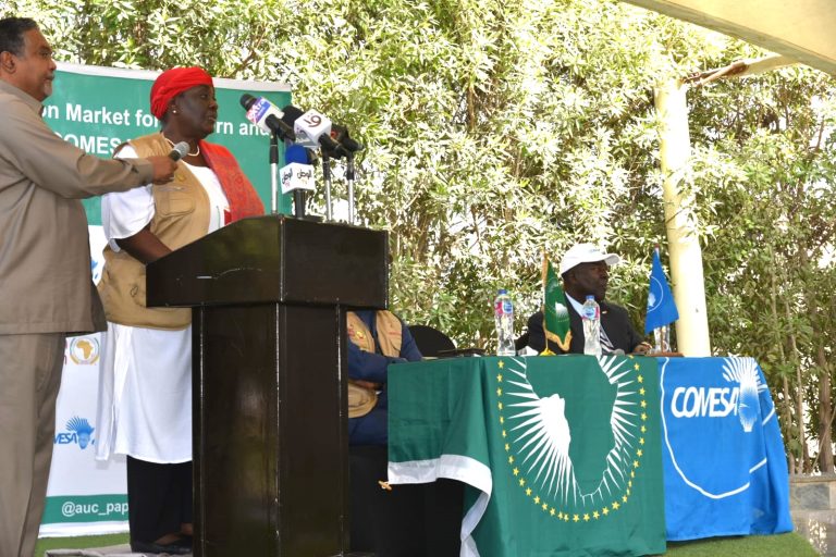 Common Market for Eastern and Southern Africa (COMESA)