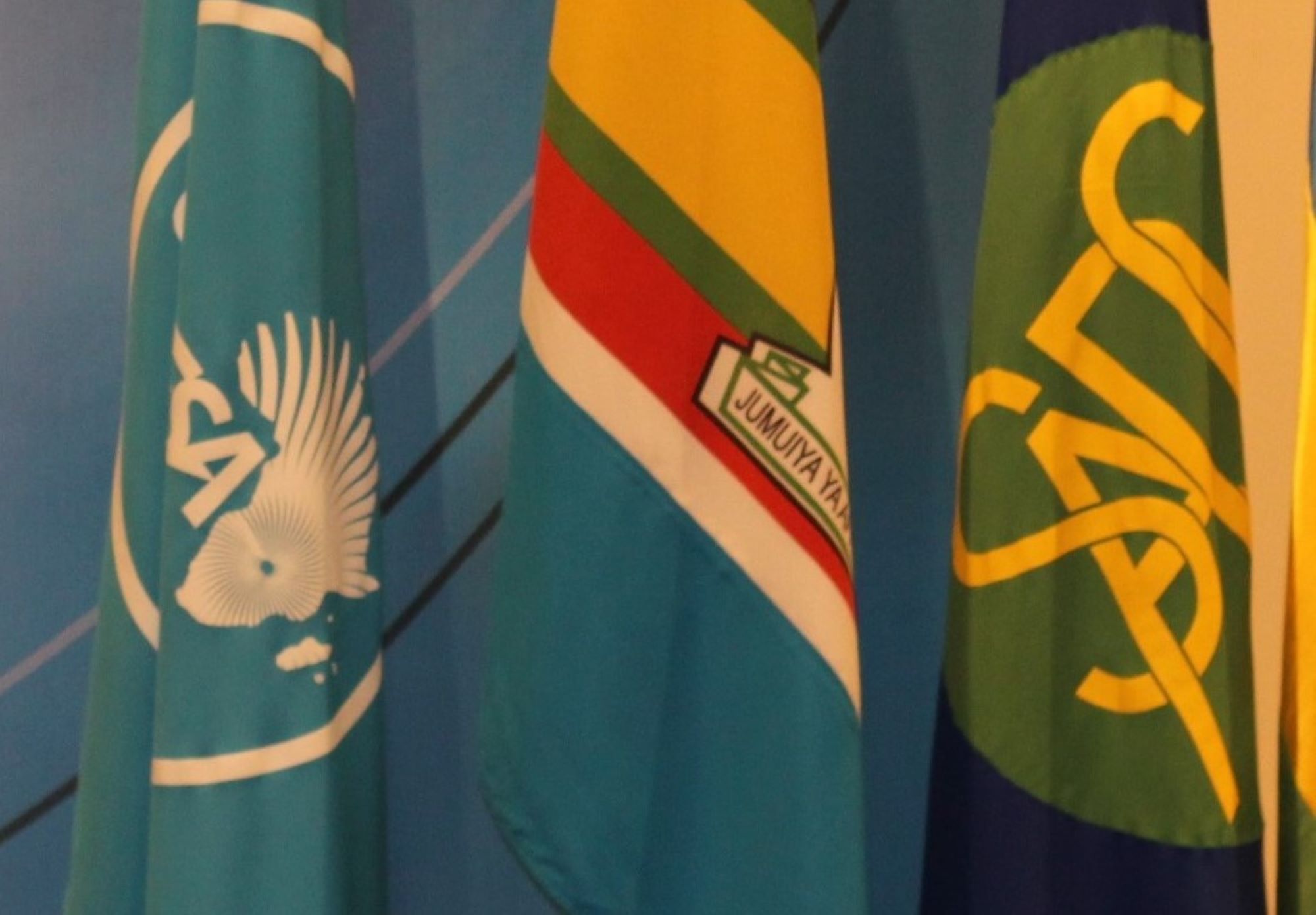 Common Market for Eastern and Southern Africa (COMESA)