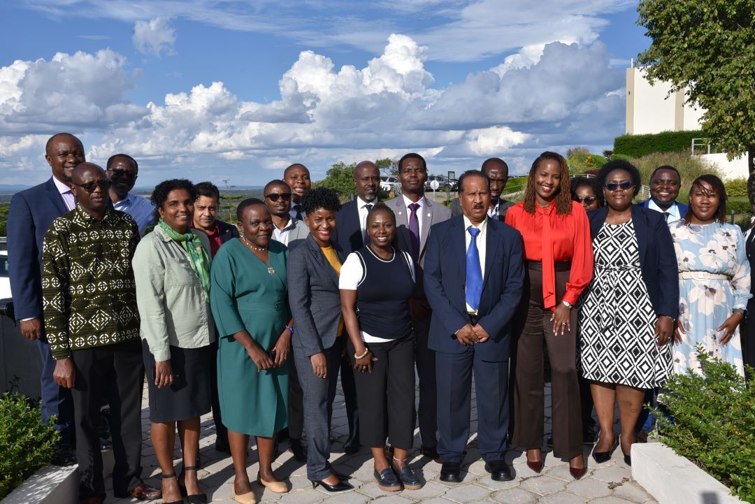 Towards an Effective and Efficient COMESA Secretariat - Common Market ...